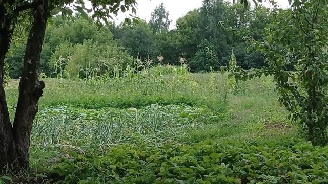 С праздником!!! Вся в заботе, вся в делах... Архив от 21.07.2021г.