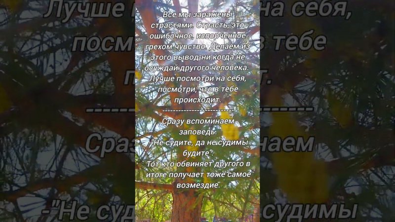 #ЭГФ- #ИТК . #КОНТАКТ  С #Тонким #Миром.
