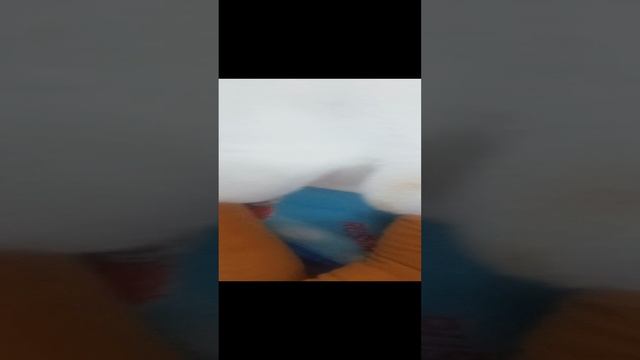 самые милые видео