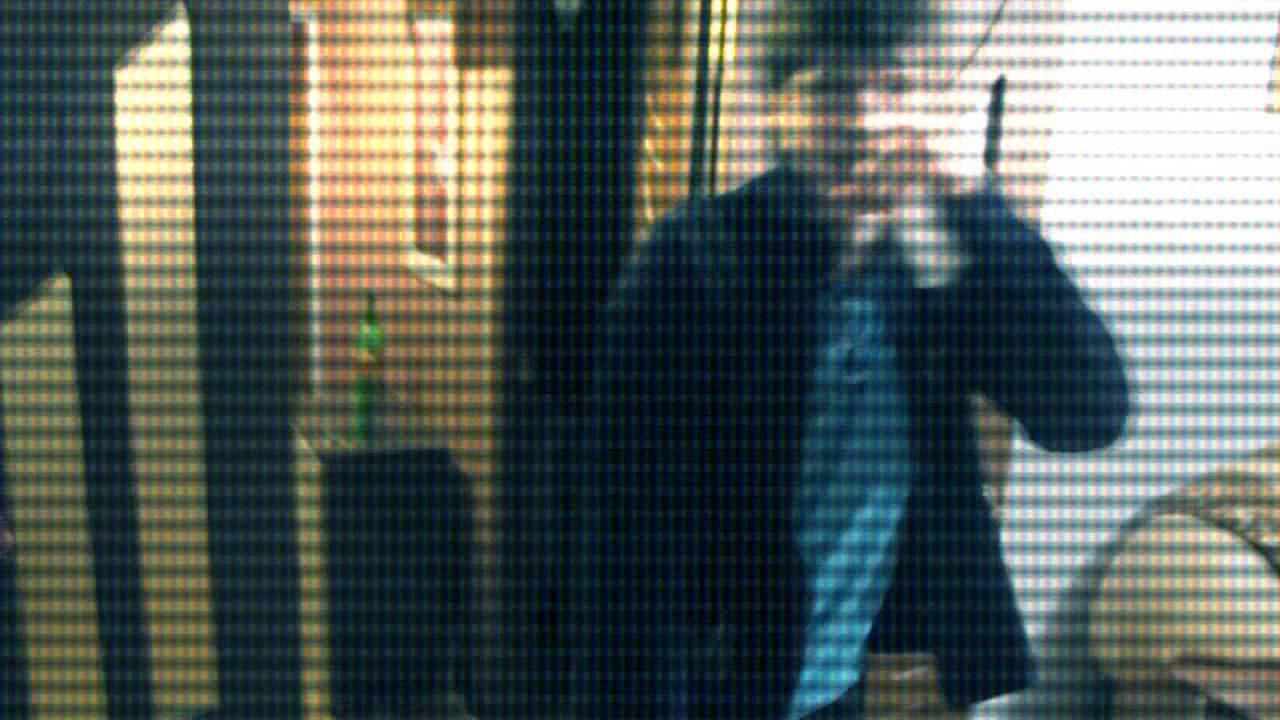 Werzhil - пустота в комнате