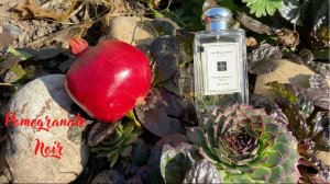 Обзор парфюма Jo Malone Pomegranate Noir.