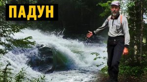 #16 Экскурс на пороги Винчи | Странная находка в тайге | Рябчики или глухари?