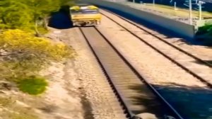 Real Life Superhero?♂️Caught On Camera? _ This Guy Saved The Dog ?From A Train?Accident ?