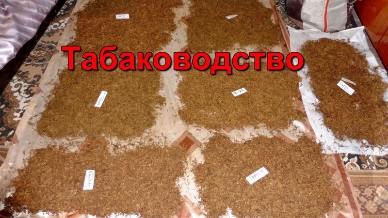 Небольшая переделка ферментатора и отвечаю на Ваши вопросы.
