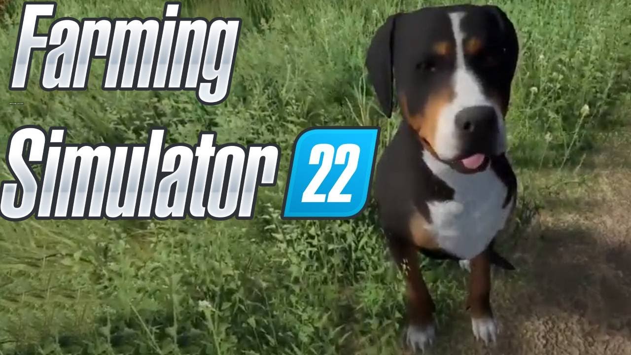 ЗАВЕЛИ себе СОБАКУ в Farming simulator 22. #14. КООП.
