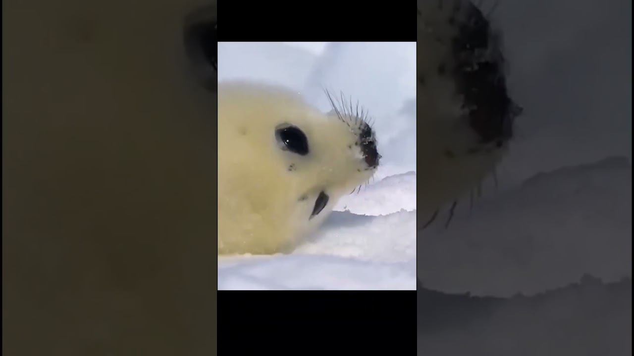 28 октября 2023 г.