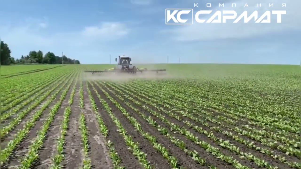 Мотыга МРН-11СК "Орикон". Междурядная обработка всходов свёклы#производитель#мотыга#фермер#хозяйство