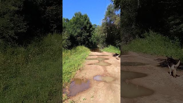 1000005465.mp4