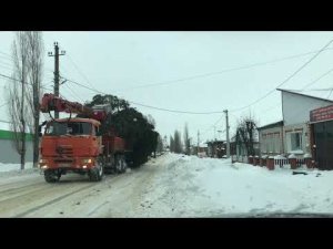 Главная Елка Бутурлиновки. Установка.  2024  Пл.  Воли.
