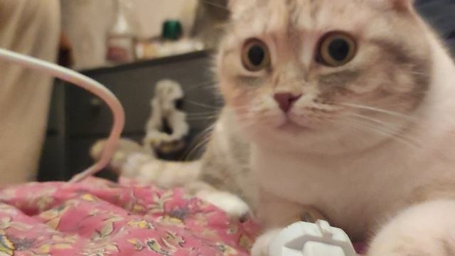 VID_20230202_211302