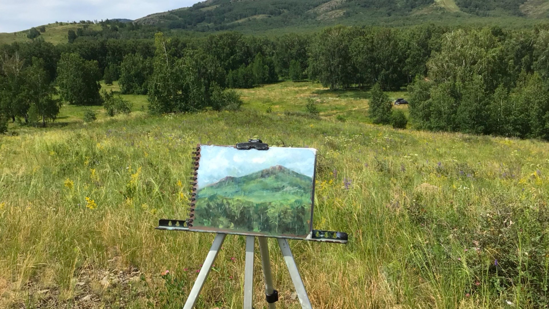 ⛰️ Летний пленэр в горах сухой пастелью 🍃