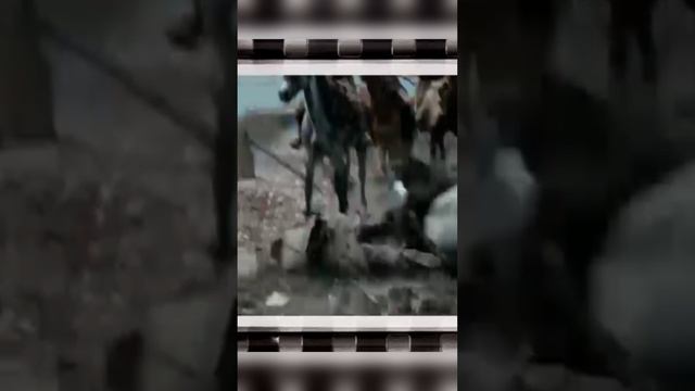 Как половцы сбивали дань с русских