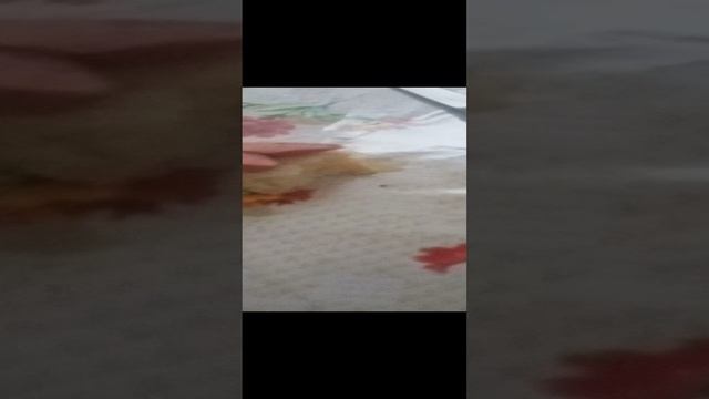 как делать бутерброд который не знает человека