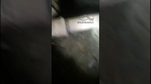 В подъезде воняет канализацией — проверьте подвал!