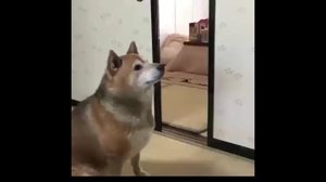 Ты че, не понимаешь?