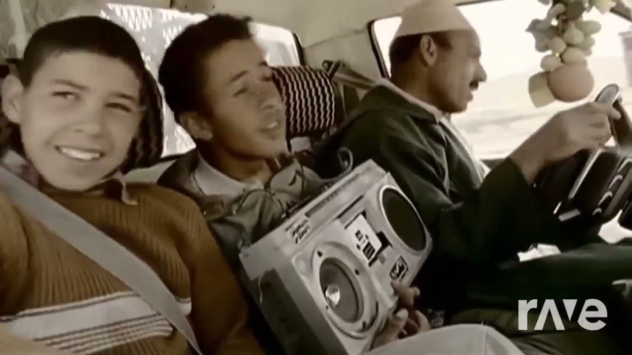 Mashup (Мешап) Werzhil & Chemical Brothers -  Do it ублюдок again