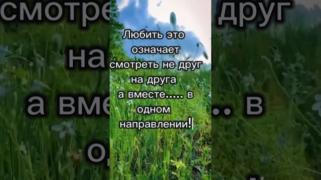О любви!