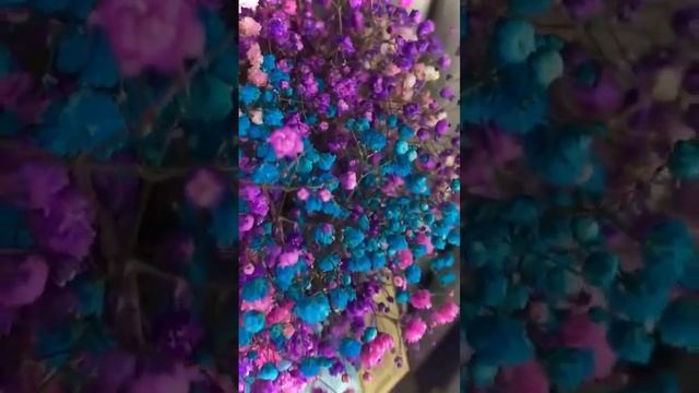 Купить Цветы в Воронеже #цветыворонеж #купитьгипсофилуворонеж