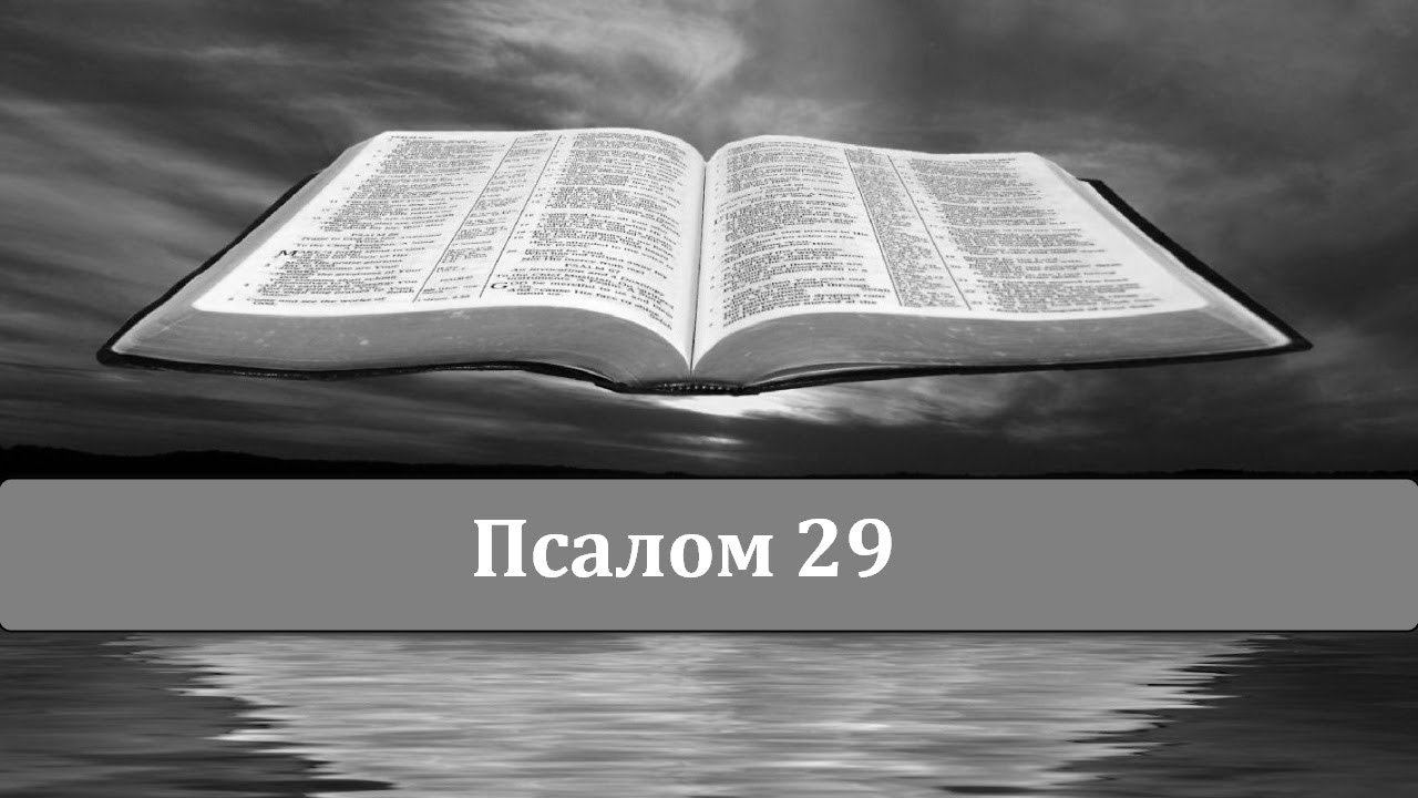 Евгений Титов, Книга Псалтирь Под скальпелем небесного Кардиохирурга Пс 29
