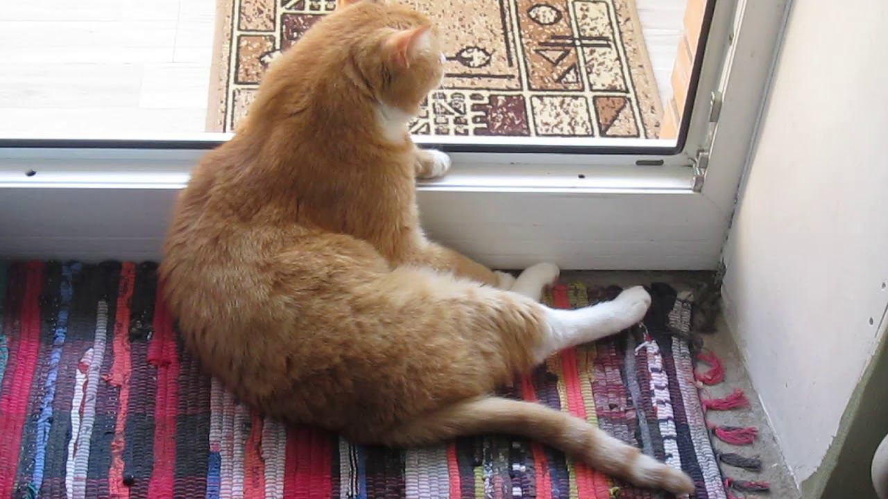 Отдыхает