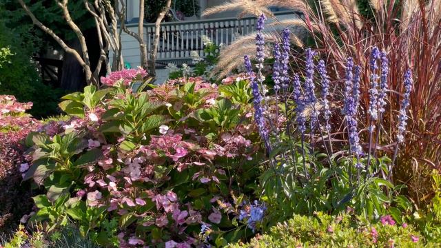 THE MOST BEAUTIFUL GARDENS