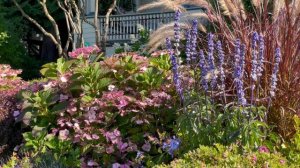 THE MOST BEAUTIFUL GARDENS