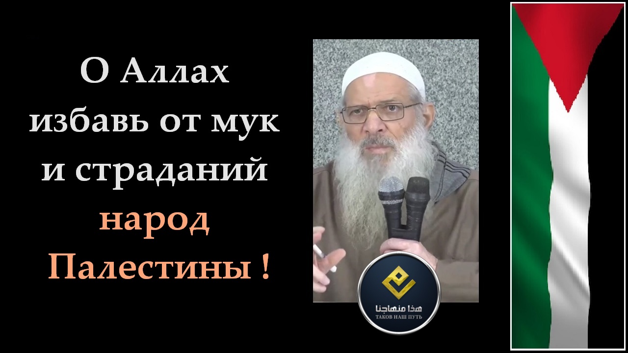 О Аллах избавь от мук и страданий народ Палестины! | Шейх Раслян