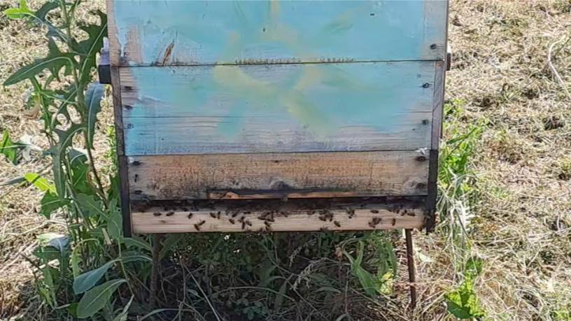 Работа вентиляции по Кашковскому в жару