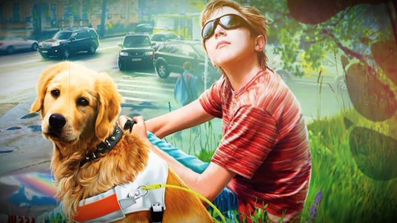 Буктрейлер по книге М. Самарского "Радуга для друга"