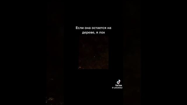 1000016349.mp4