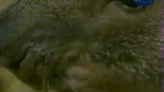 2001