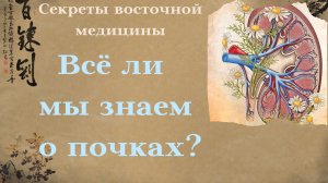 Неизвестные причины и симптомы, о которых не знает официальная медицина. Чудесный круг У-син и почки