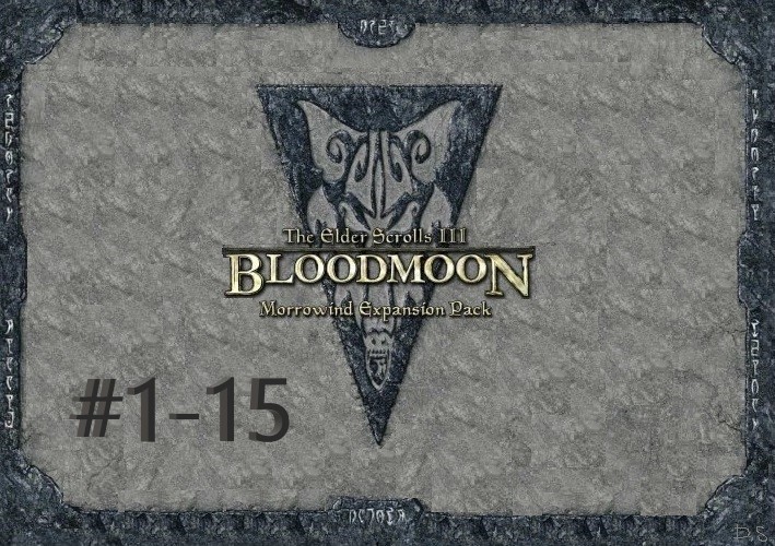 TESIII Bloodmoon #1-15 Поимка вора (Воронья Скала).mp4