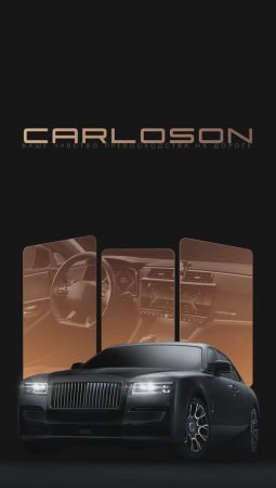 Презентация для Carloson