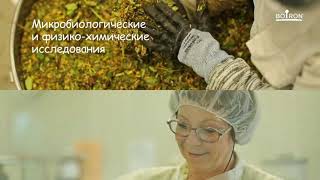 АРНИКА: ПРЕИМУЩЕСТВА