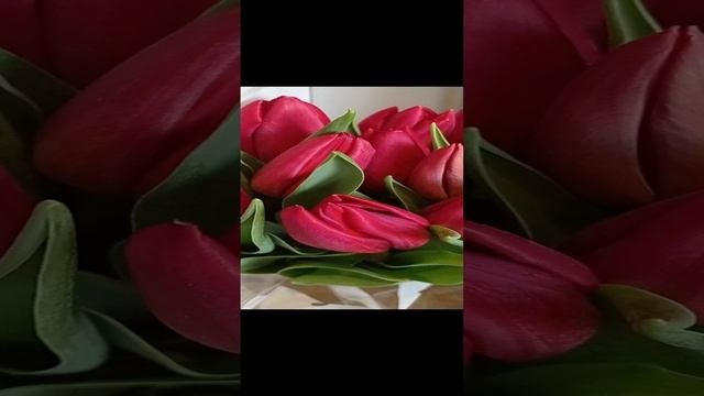 Весна .