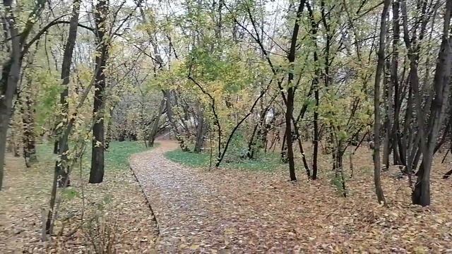 полный релакс мелодия  меланхолия  автор Олег Сапегин.mp4