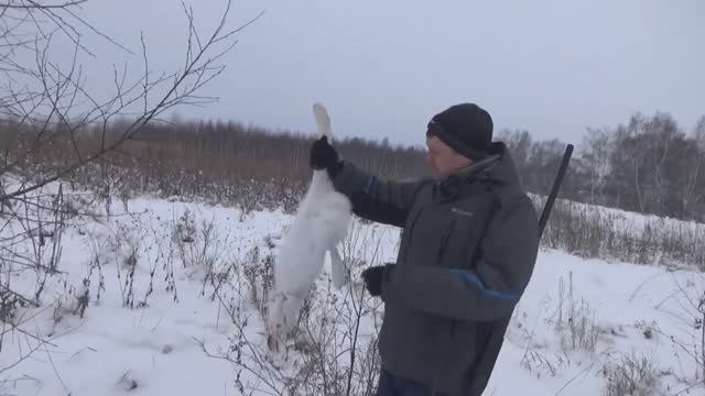 Заяц атакует. Часть 1