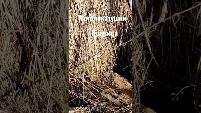 Ланьковское озеро . Криница . Мото покатушки