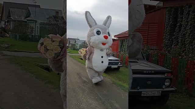Аэрозаяц.