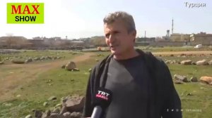 В Турции появились Гусеницы после землетрясение  #землетрясение #турция #новости #turkey #turkiye
