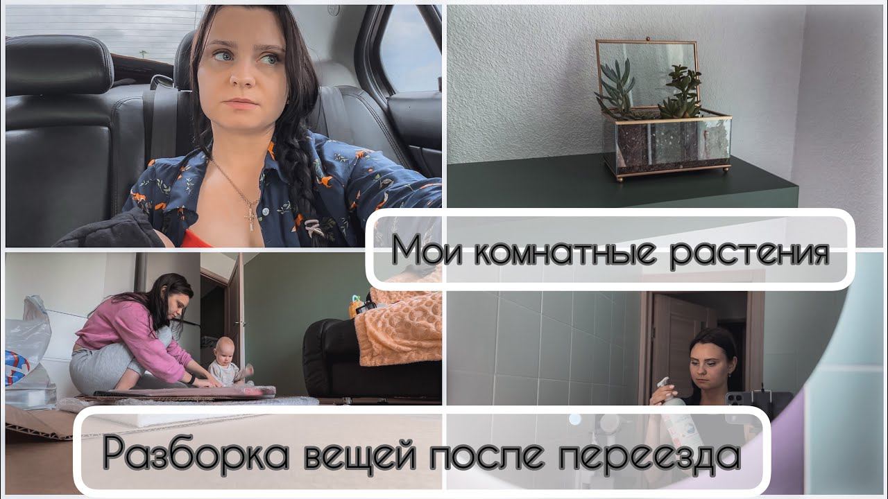 ПРОДОЛЖАЮ РАЗБИРАТЬ ВЕЩИ l МОИ КОМНАТНЫЕ РАСТЕНИЯ - СУККУЛЕНТЫ l КАРТИНЫ НА ХОЛСТЕ