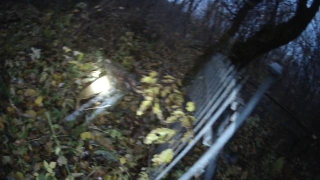 Дикая Надя. Оффроуд. Ночной дозор. Кладбища. Уникальное предложение для благотворителей в описании