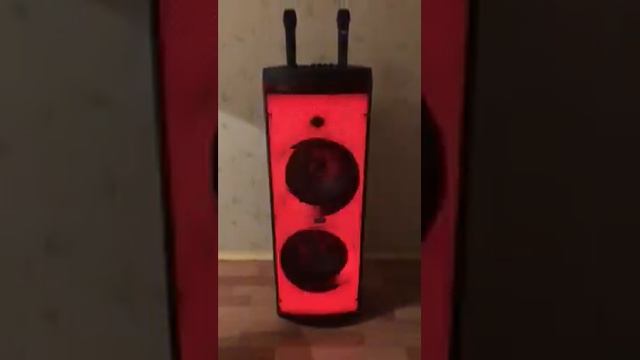 Продам беспроводную колонку 1200 ватт с 2 радиомикрофонами минск тел 80298836914