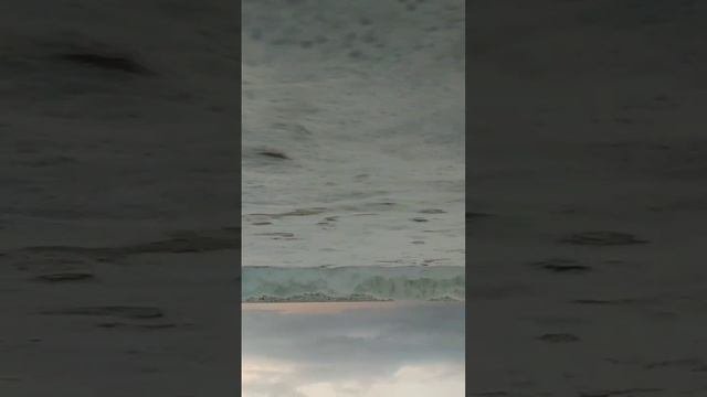 море вниз головой  шумит в АкваЛоо