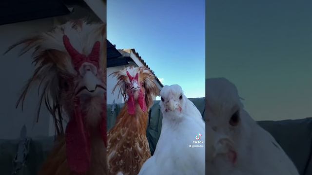 Танцы на современный лад