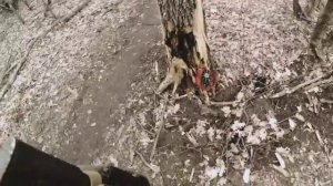 Бешеные псы на фронтах зоны СВО