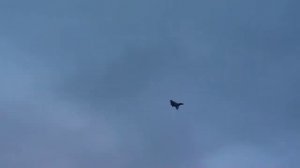 Полет .радиоуправляемого самолета.Су-27