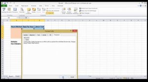 How to make only selected cells read only in excel |Lock and unlock cells in excel|Protect cells