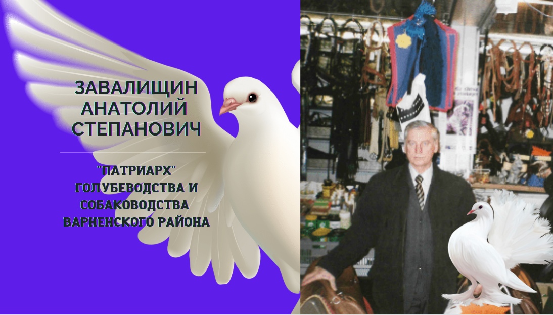 Завалищин Анатолий Степанович_ПАТРИАРХ голубеводства и собаководства Варненского.mp4
